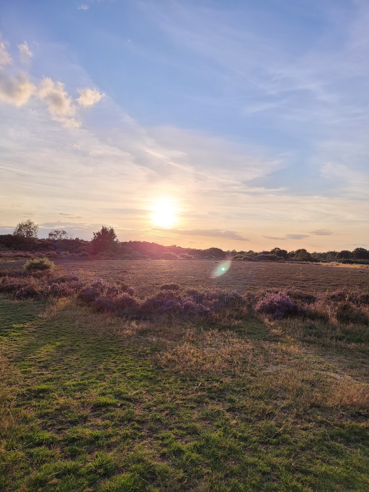 Rushmere Heath Ipswich (2026) – Best of TikTok, Instagram & Reddit ...