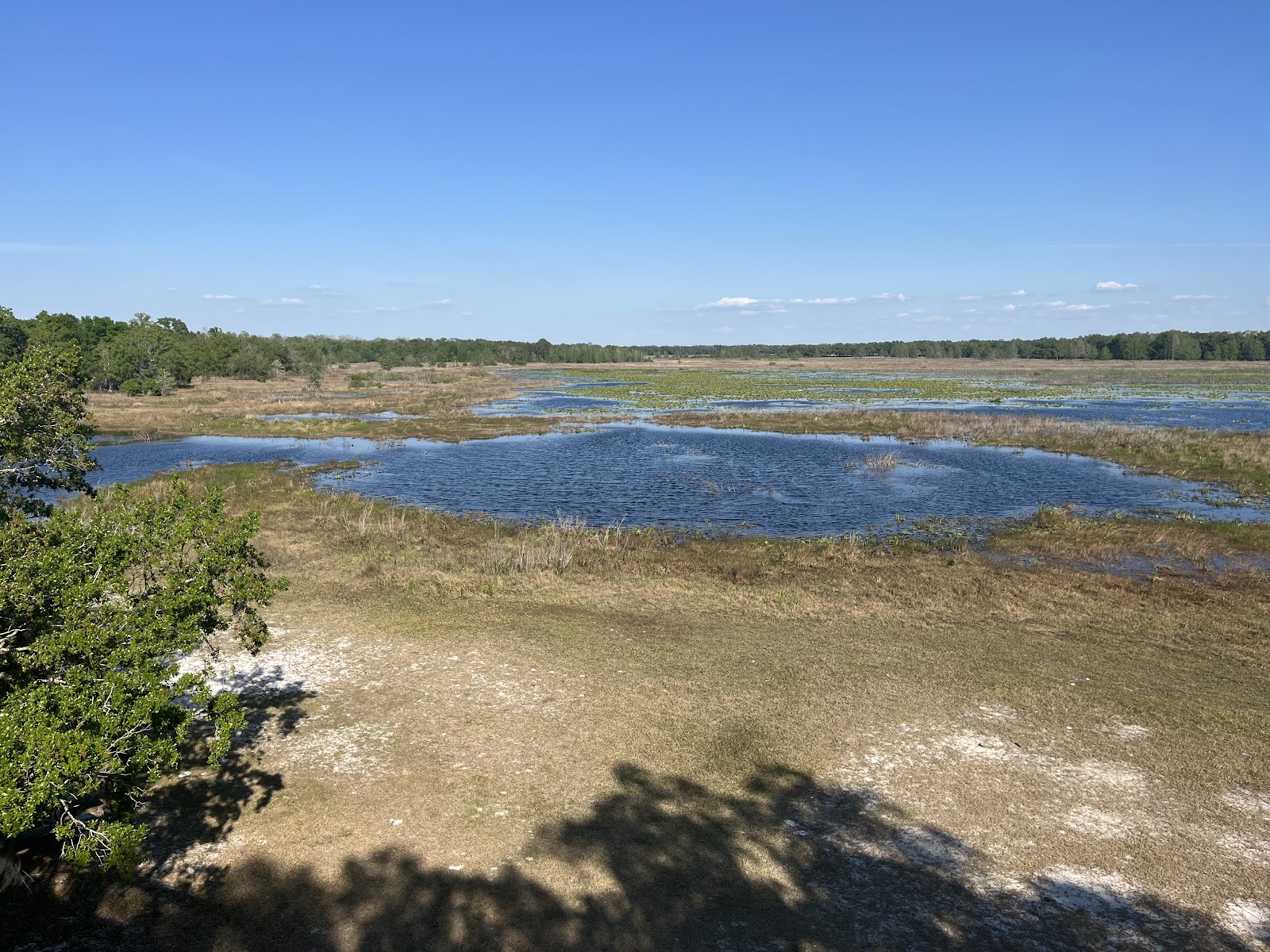 Crews Lake Wilderness Park (2025) – Best of TikTok, Instagram & Reddit ...
