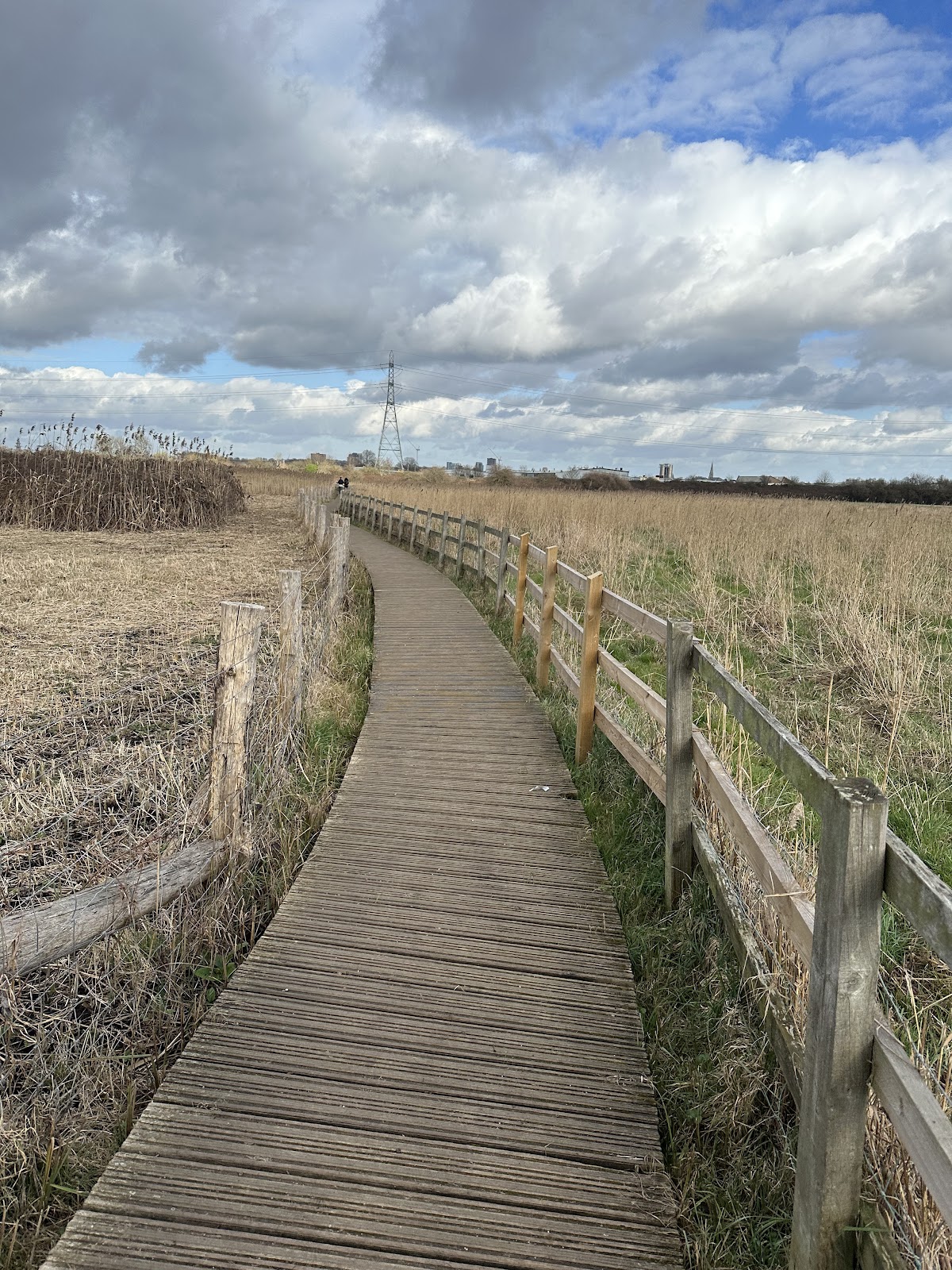 Marsh Lane Nature Reserve (2026) – Best of TikTok, Instagram & Reddit ...