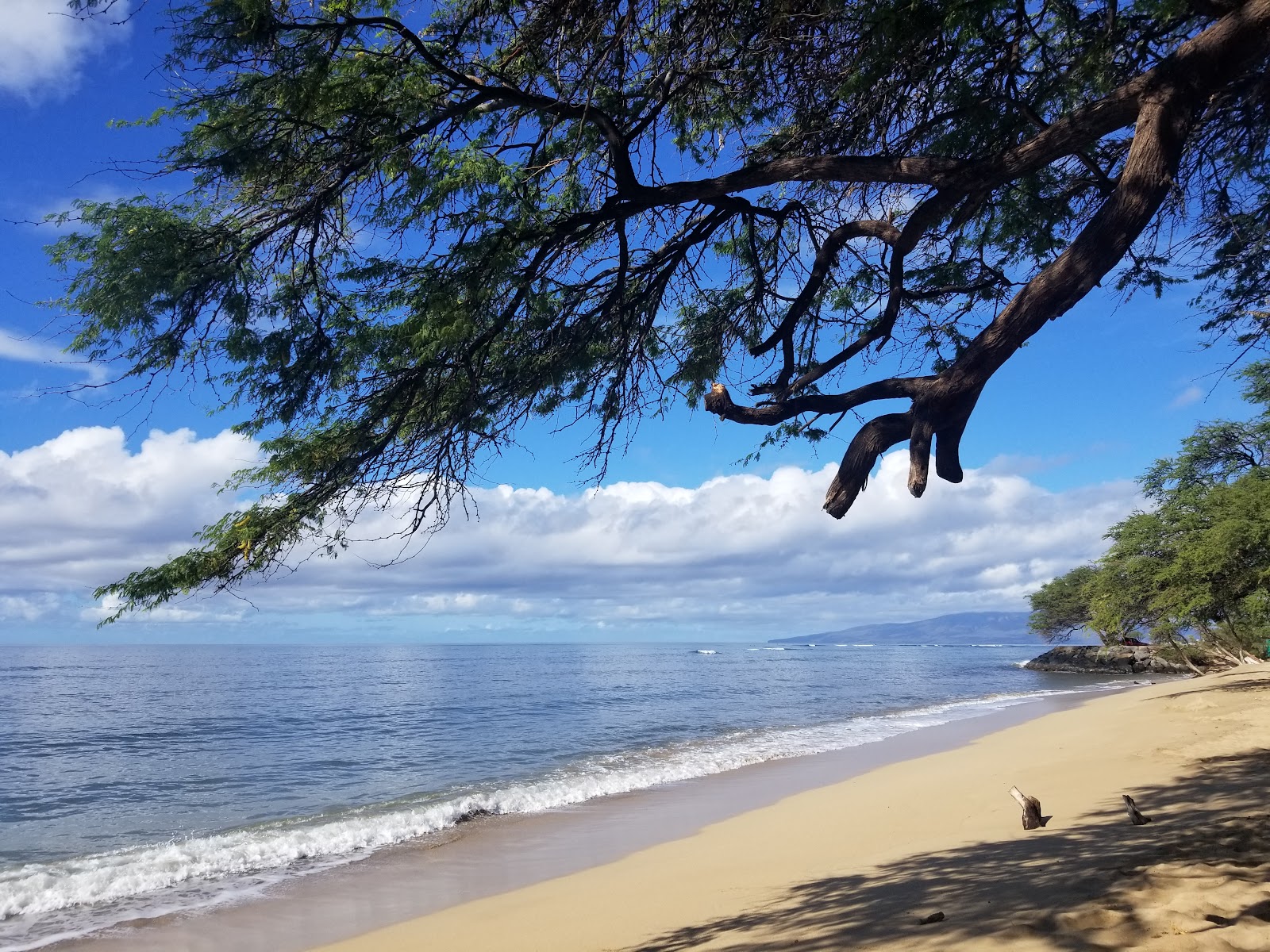 Papalaua Wayside Park (2026) – Best of TikTok, Instagram & Reddit ...