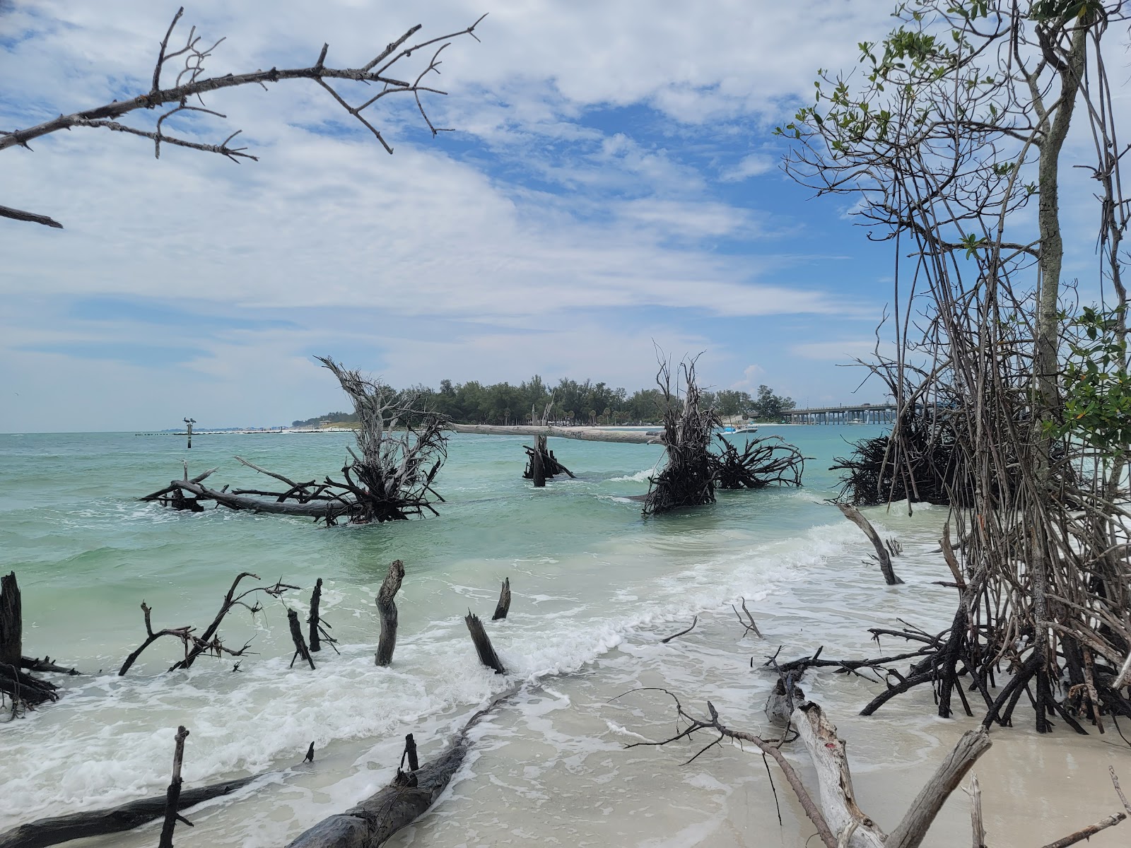 Beer Can Island (Greer Island) (2025) – Best of TikTok, Instagram ...