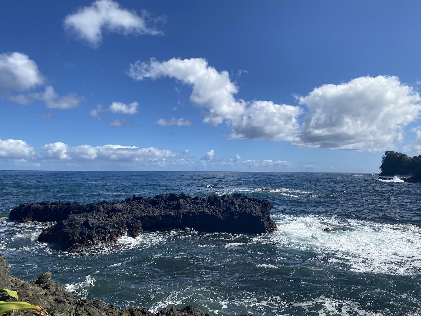 Onomea Bay Lookout (2026) – Best of TikTok, Instagram & Reddit Travel Guide
