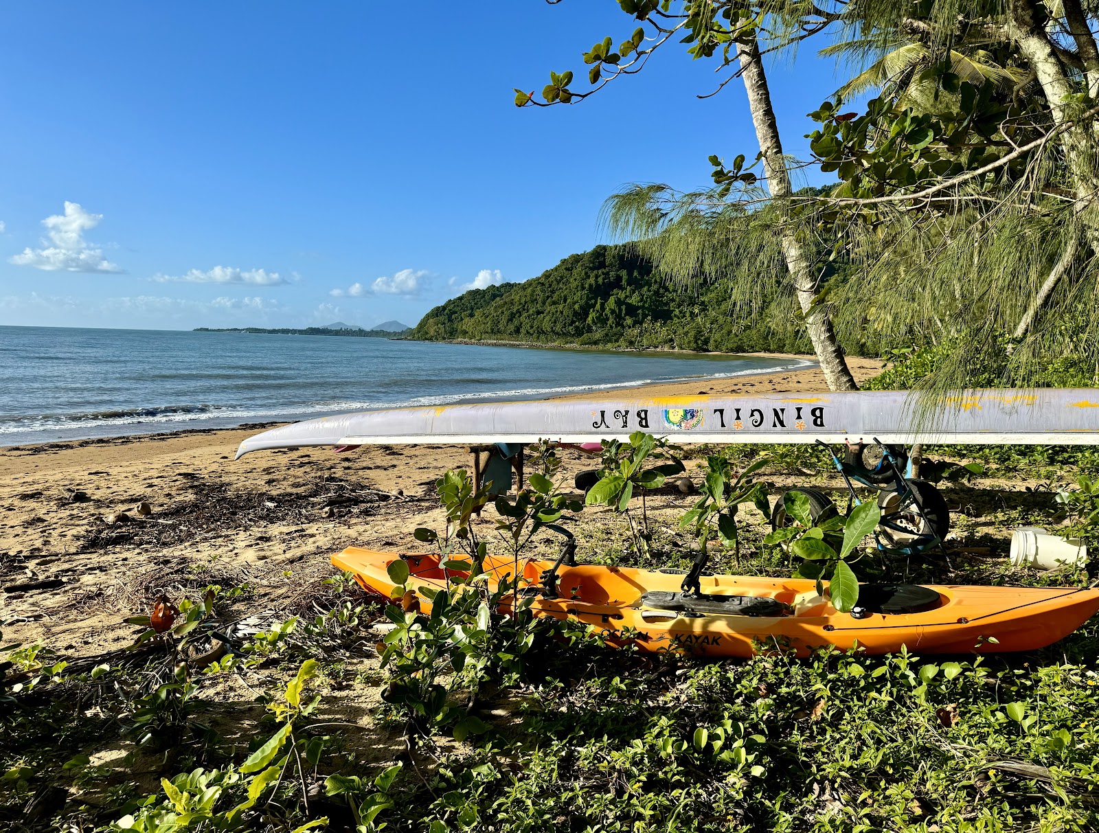 Bingil Bay Beach (2026) – Best of TikTok, Instagram & Reddit Travel Guide