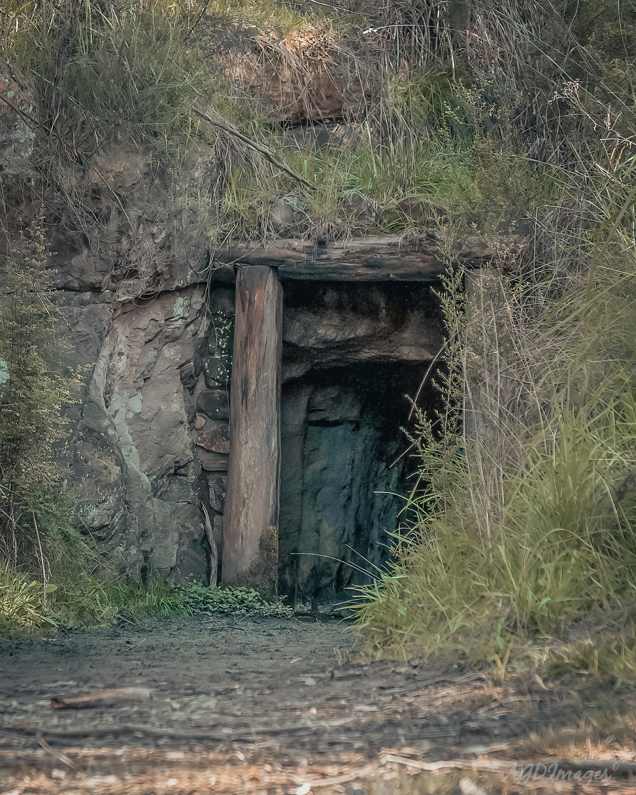 Fourth Hill Gold Diggings (2026) – Best of TikTok, Instagram & Reddit ...