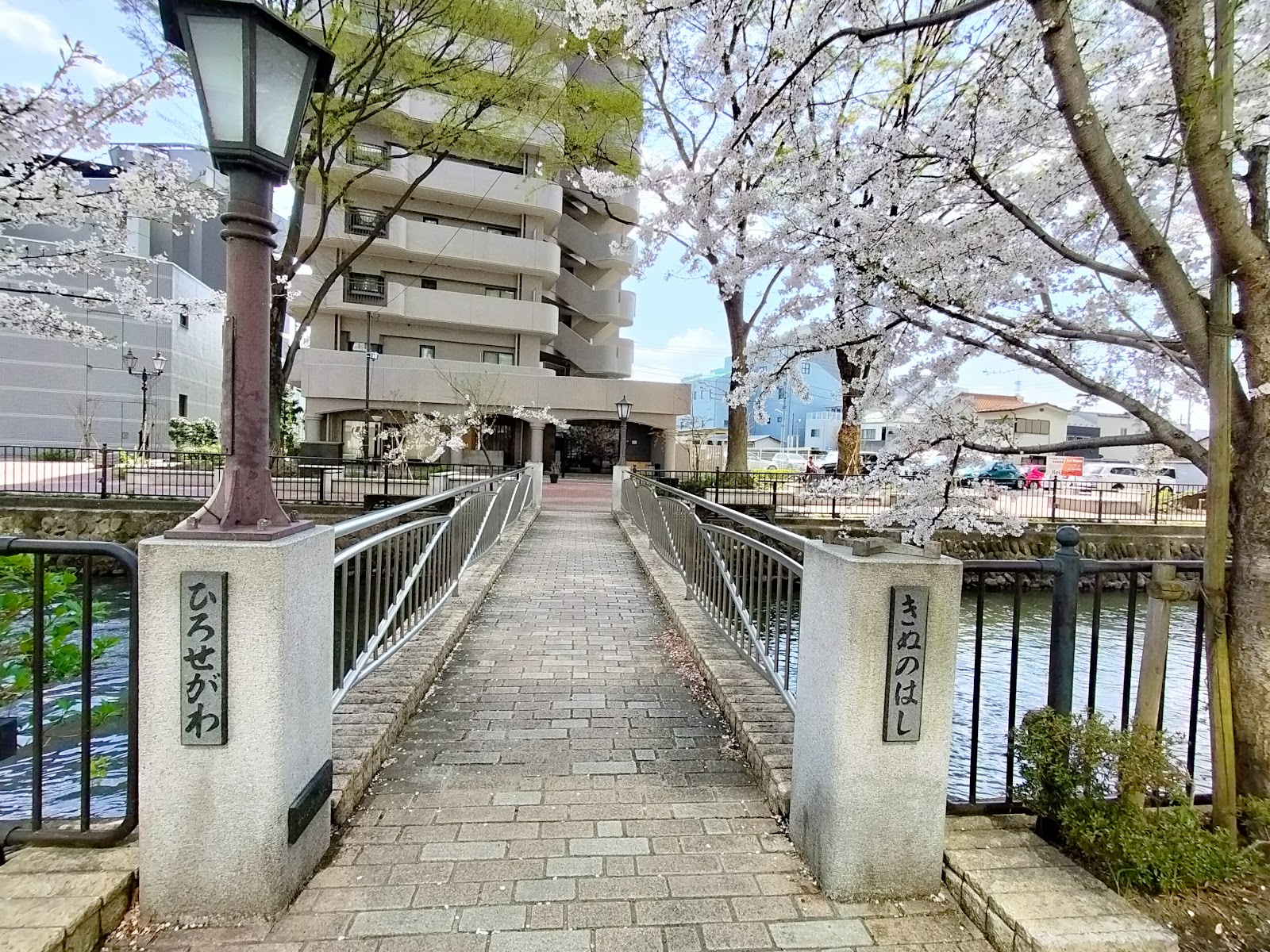 Sakura Bridge Hirose (2026) – Best of TikTok, Instagram & Reddit Travel ...