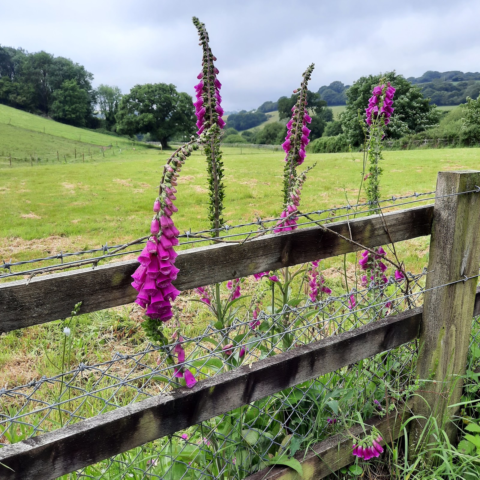 Pentewan Valley Trail (2026) – Best of TikTok, Instagram & Reddit ...