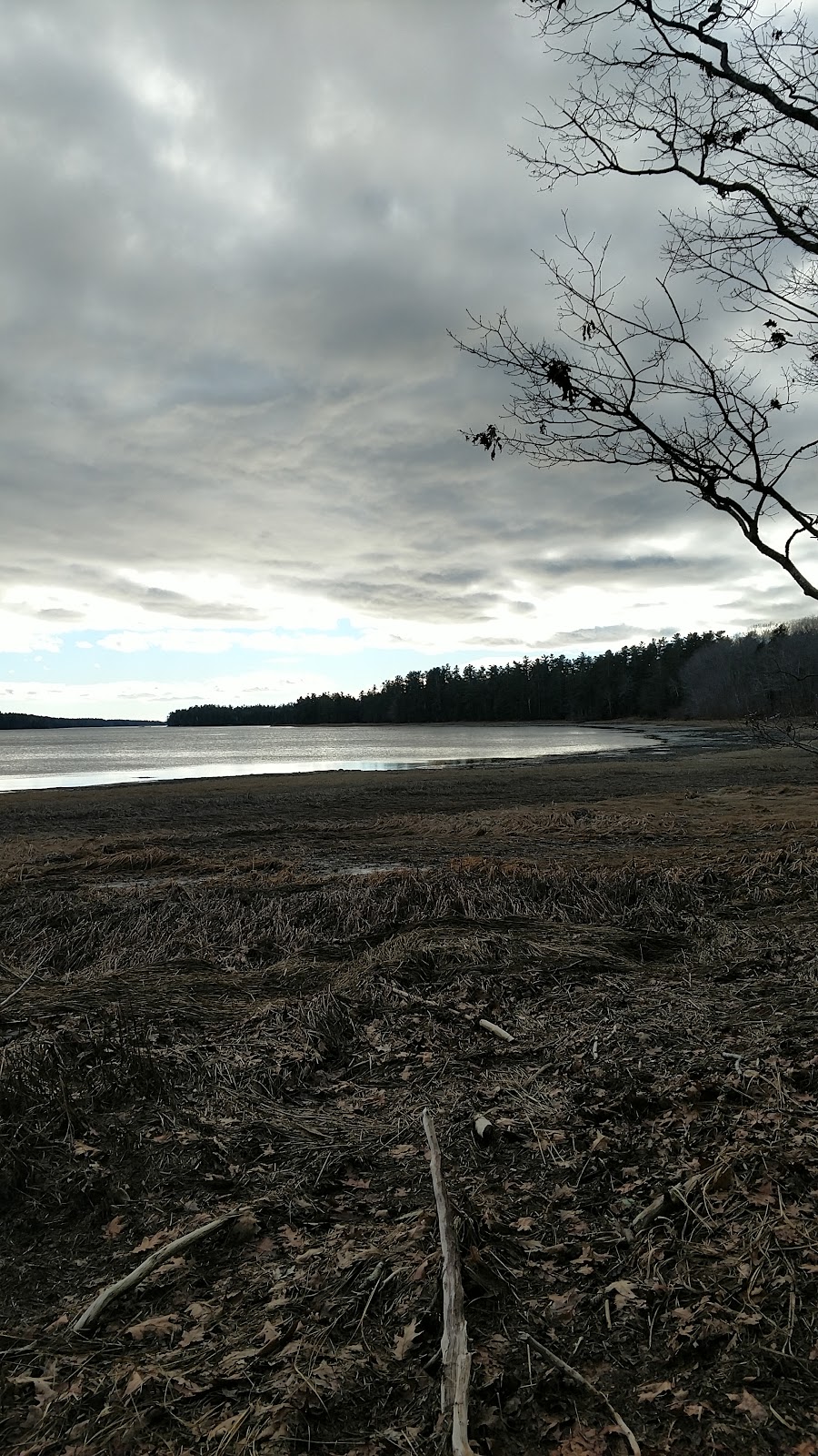 Kate Furbish Preserve (2025) – Best of TikTok, Instagram & Reddit ...