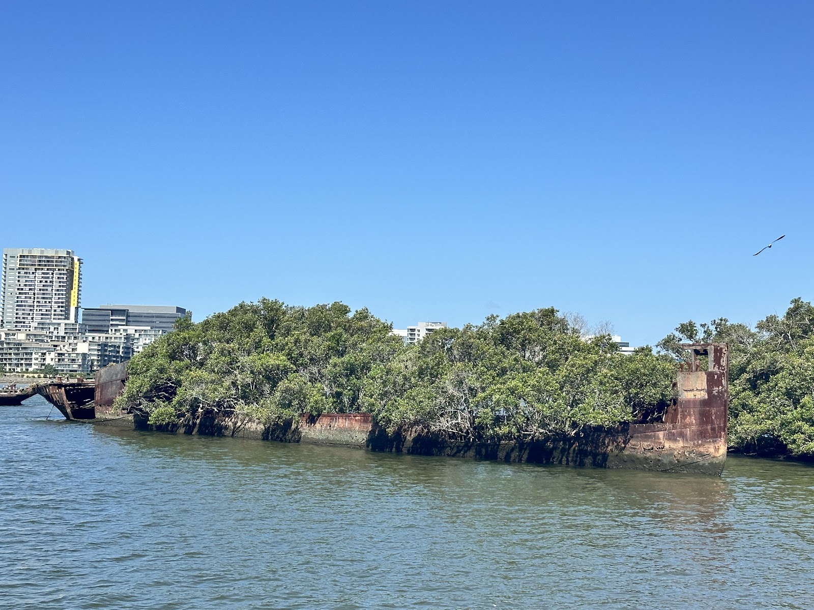 Homebush Bay Shipwrecks (2025) – Best of TikTok, Instagram & Reddit ...