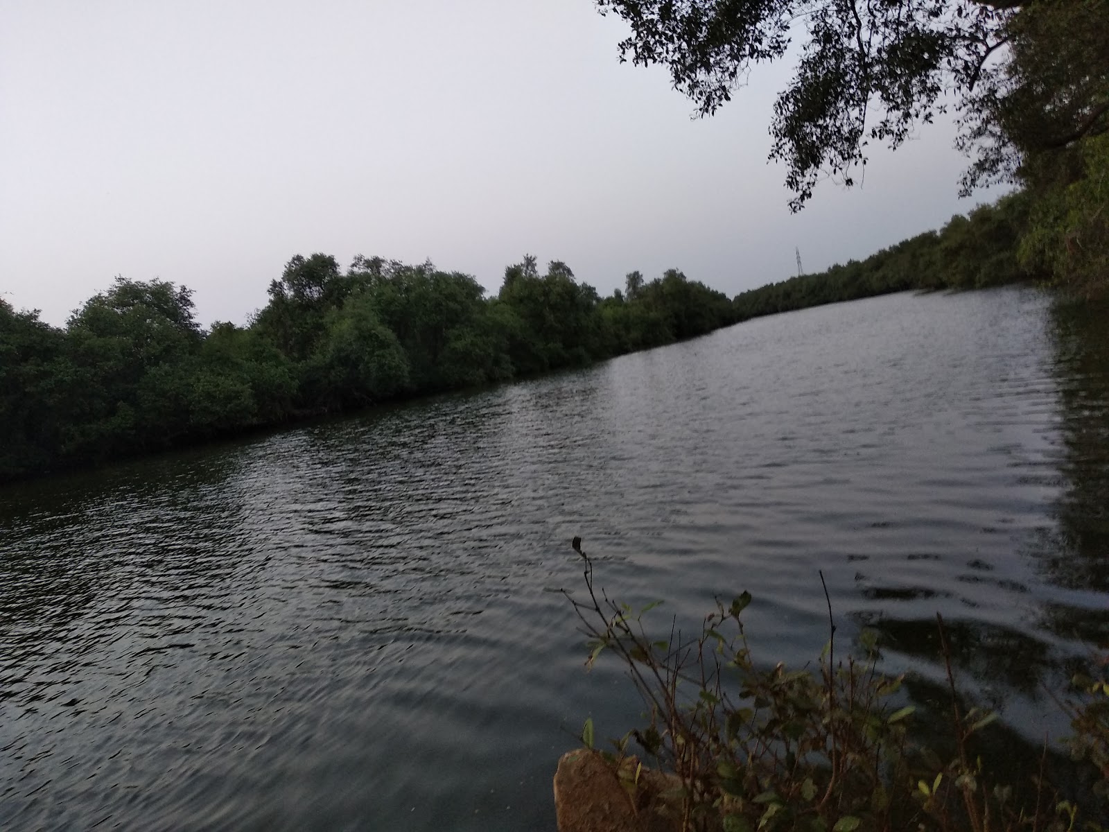 Cumbarjua Backwaters (2026) – Best of TikTok, Instagram & Reddit Travel ...