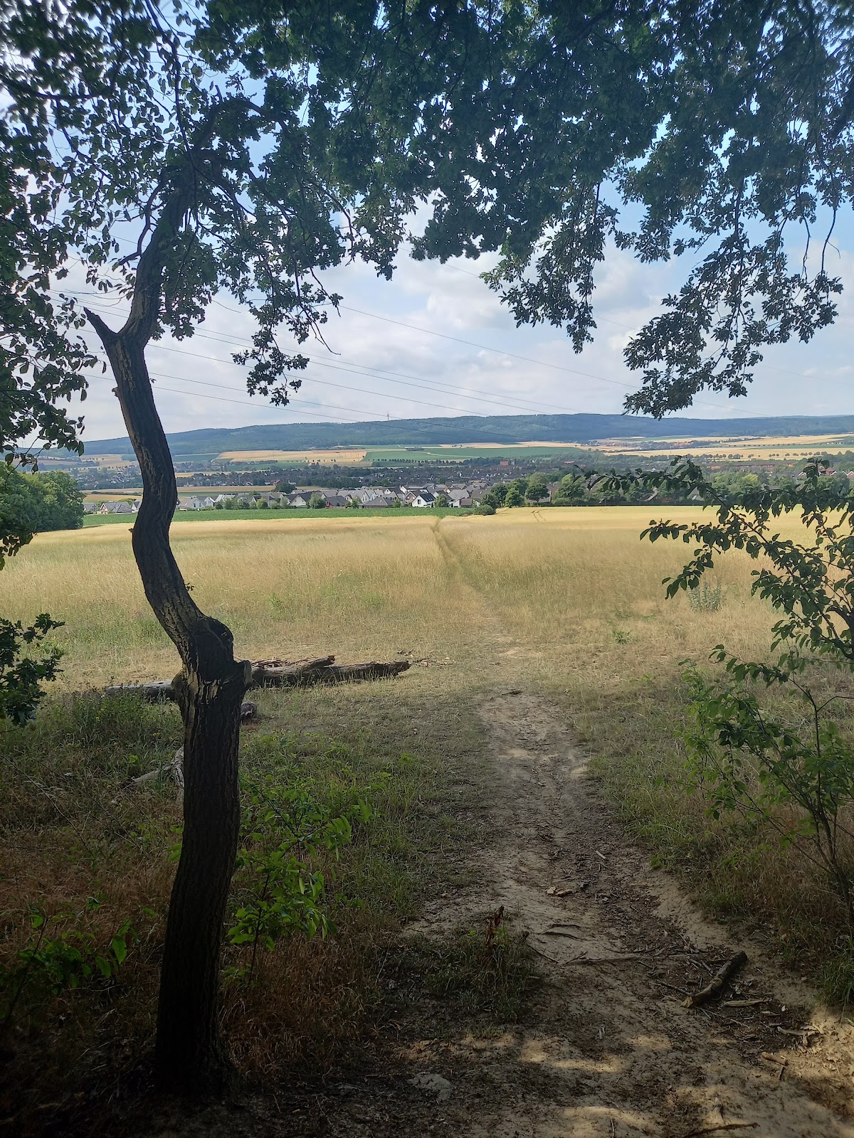 Galgenberg Park (2026) – Best of TikTok, Instagram & Reddit Travel Guide