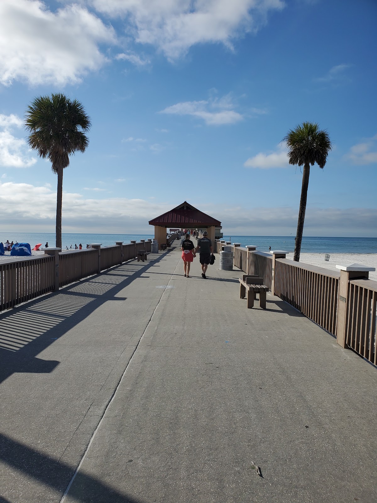 Pier 60 Clearwater Beach (2026) – Best of TikTok, Instagram & Reddit ...