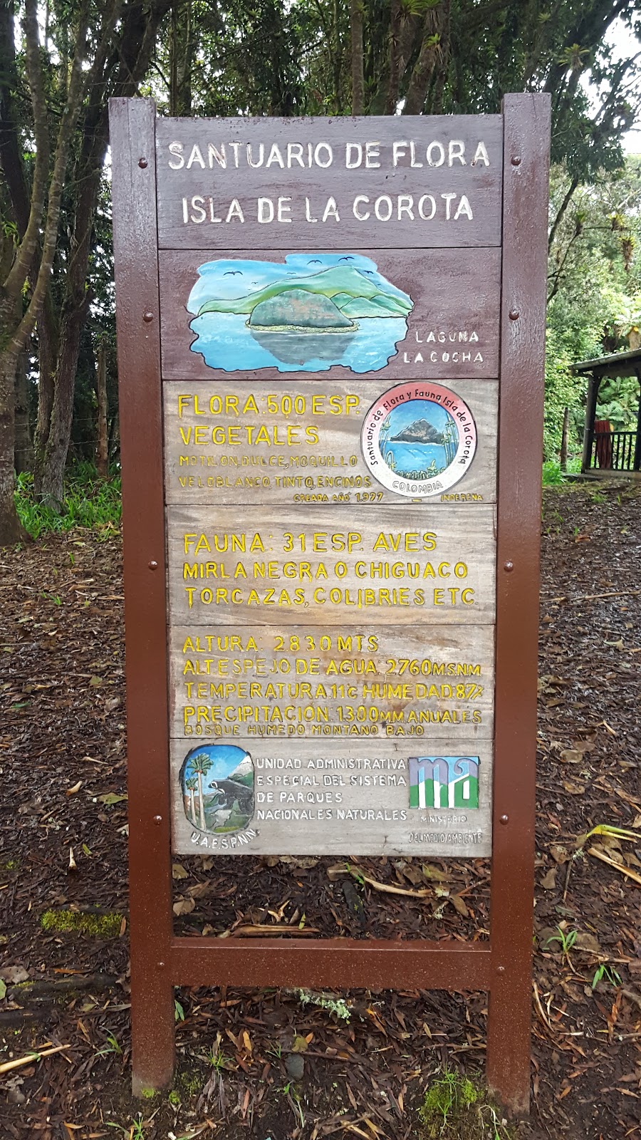 Isla La Corota Flora Sanctuary (2026) – Best of TikTok, Instagram ...