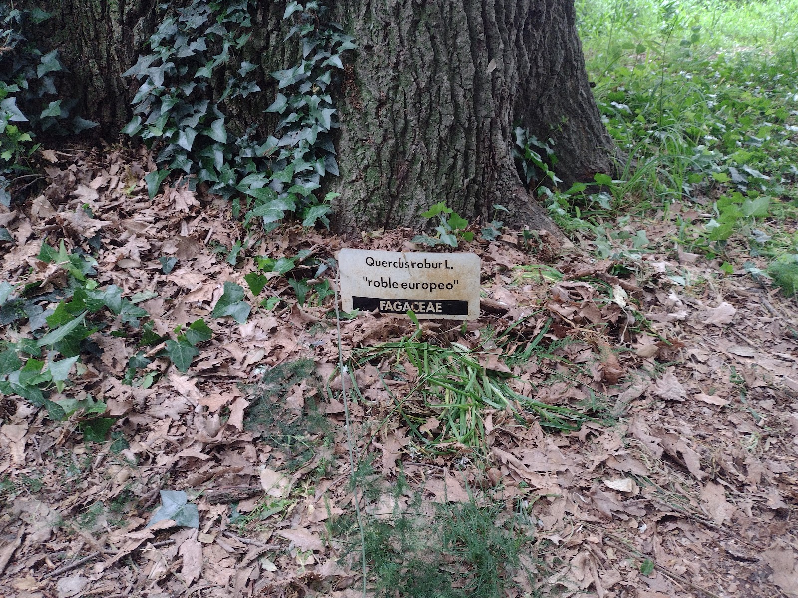 Bosque Botanical Garden (2026) – Best of TikTok, Instagram & Reddit ...