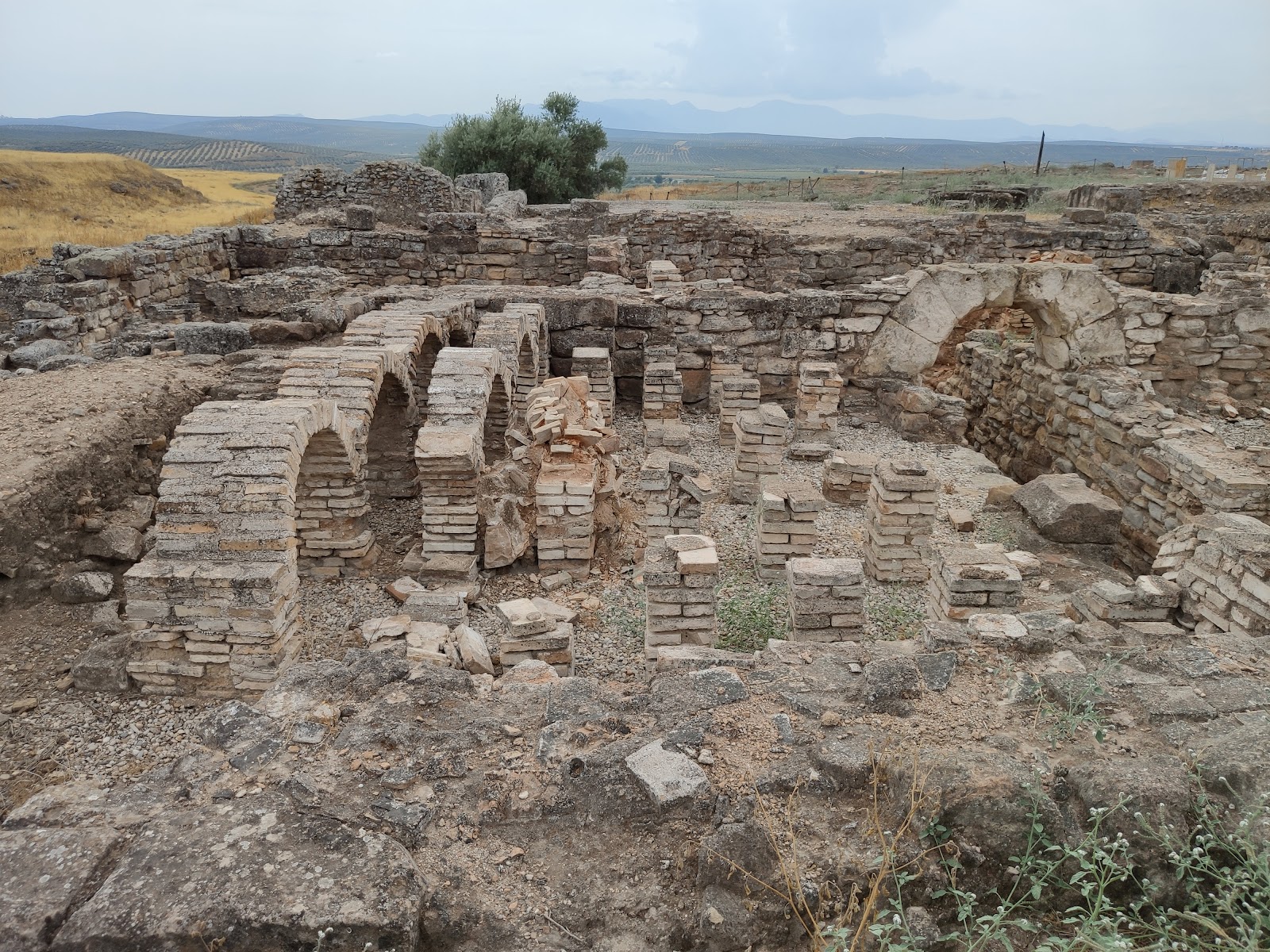 Cástulo Archaeological Site (2026) – Best of TikTok, Instagram & Reddit ...