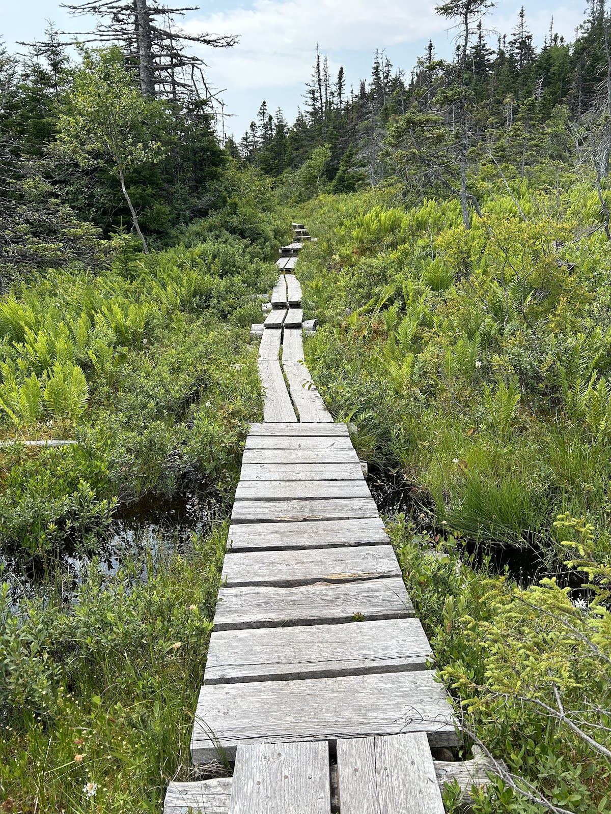 East Coast Trail Deadman's Bay Path (2026) – Best of TikTok, Instagram ...