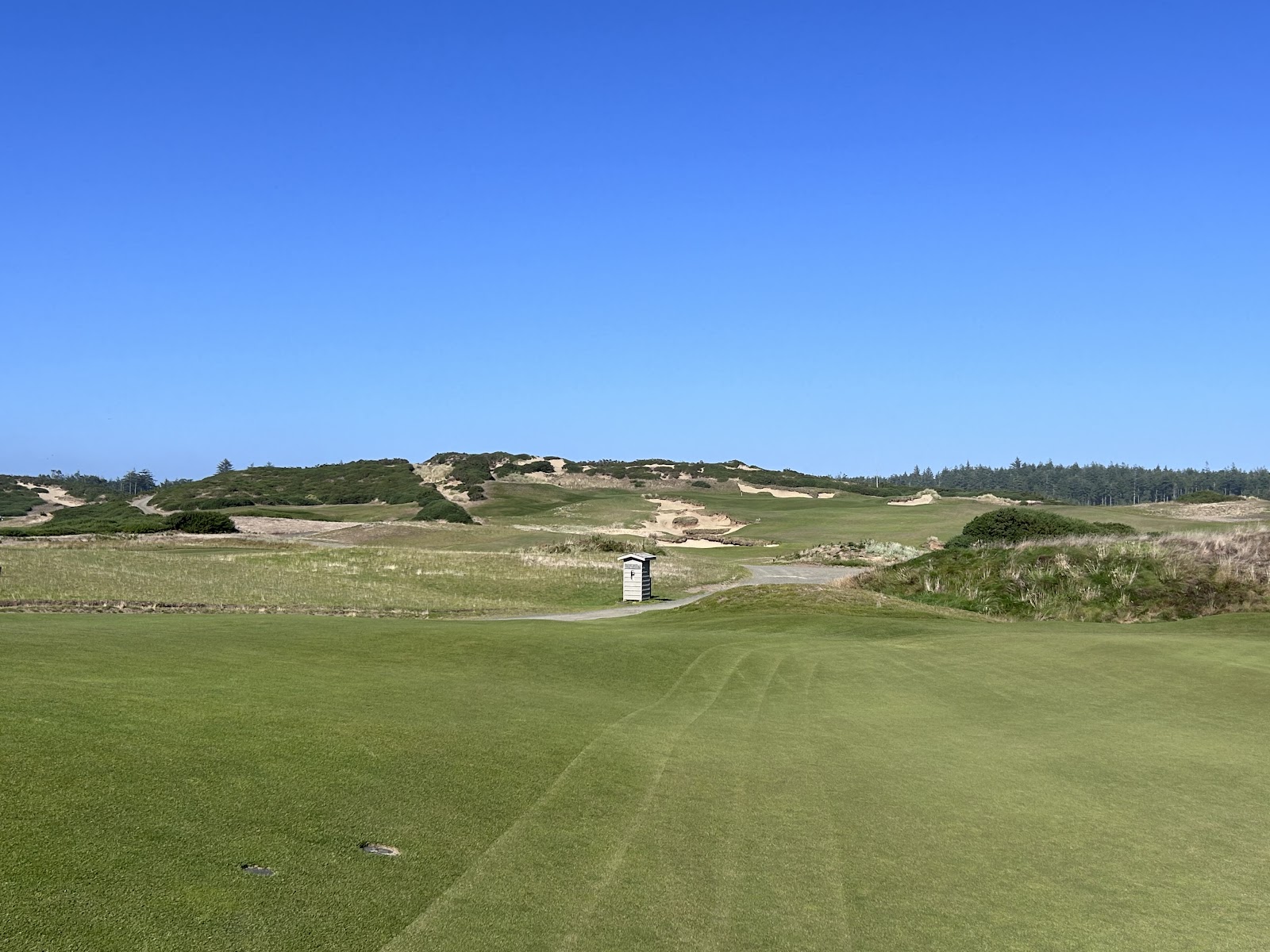 Old Macdonald Golf Course (2026) – Best of TikTok, Instagram & Reddit ...