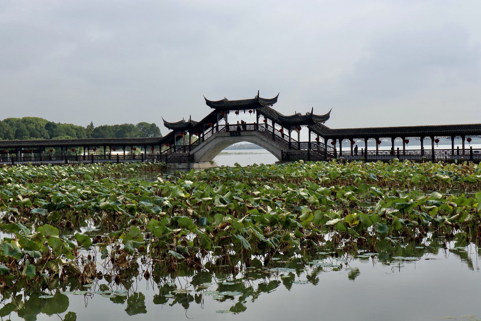 Jinxi Ancient Town (2025) – Best of TikTok, Instagram & Reddit Travel Guide