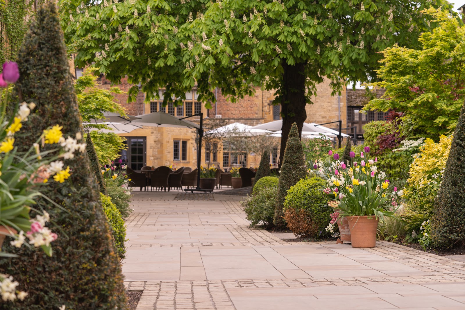 The Lygon Arms (2026) – Best of TikTok, Instagram & Reddit Travel Guide
