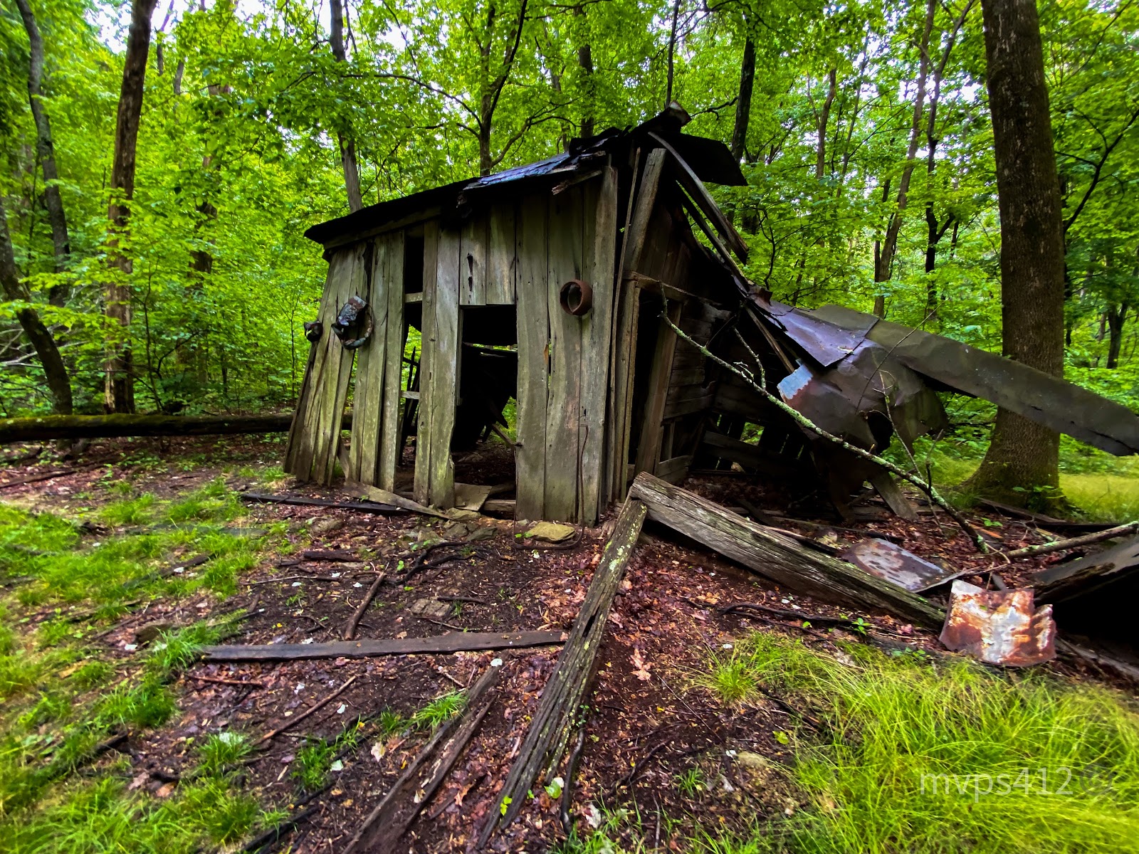 Pocosin Mission Ruins (2026) – Best of TikTok, Instagram & Reddit ...