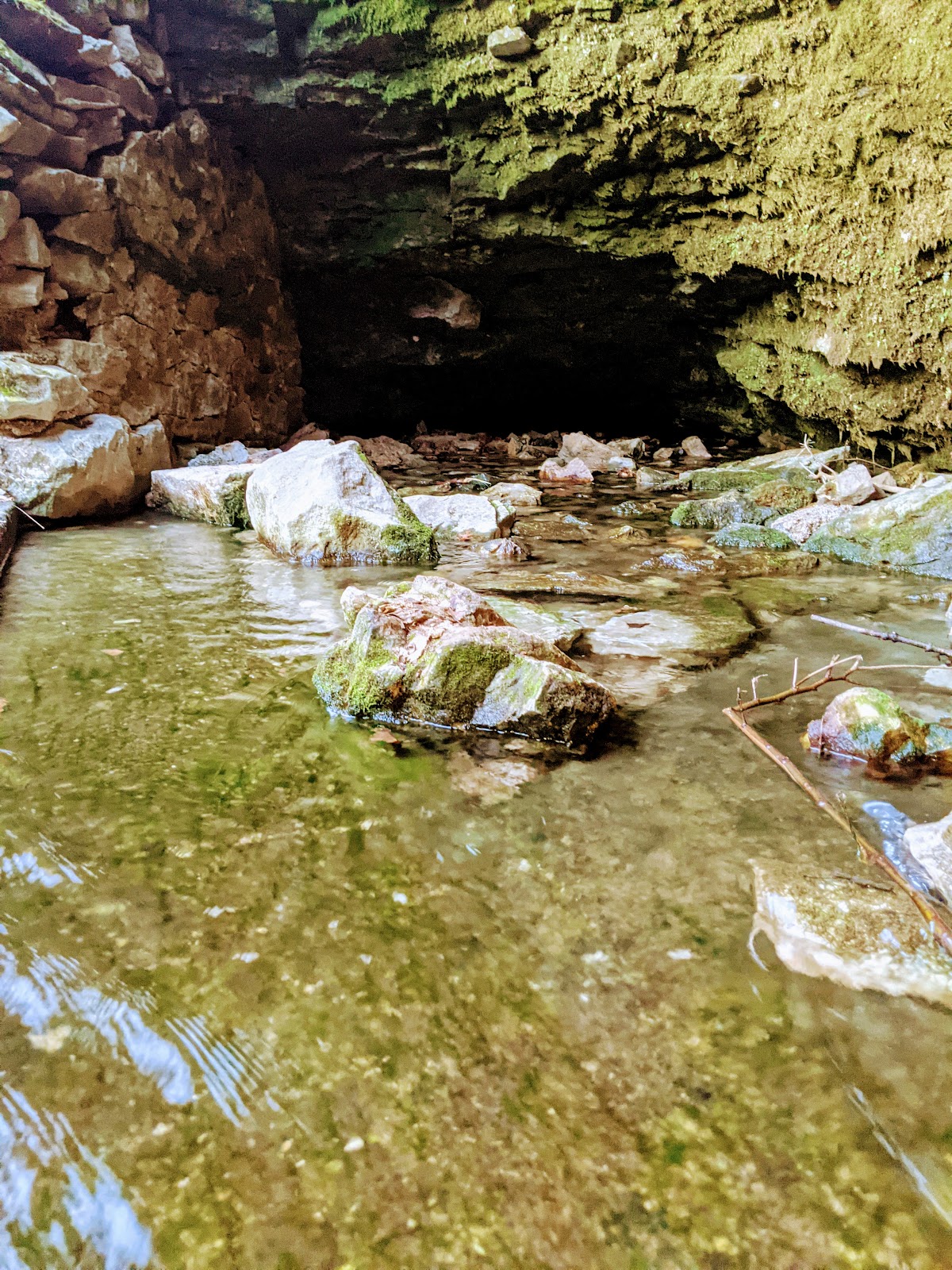 Neosho Big Spring Park (2026) – Best of TikTok, Instagram & Reddit ...