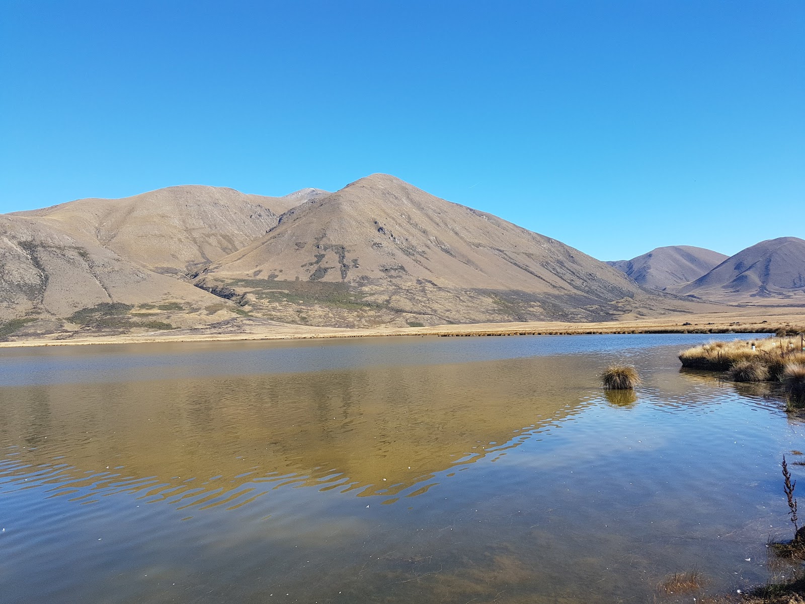 Lake Emma (2026) – Best of TikTok, Instagram & Reddit Travel Guide