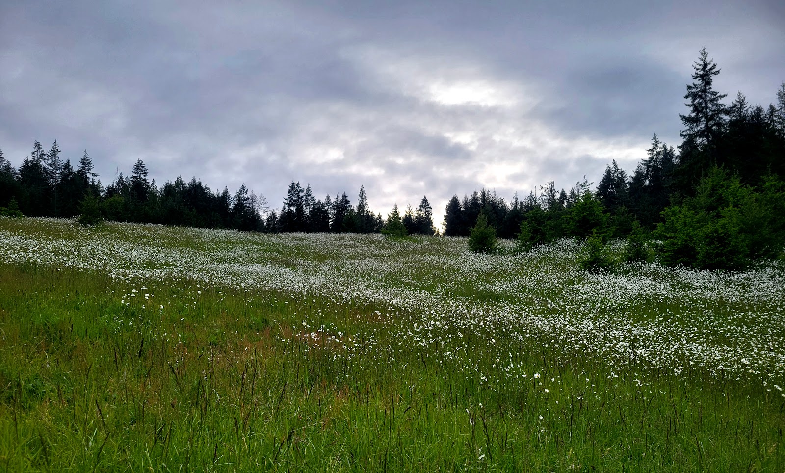 Robin Hill Farm County Park (2026) – Best of TikTok, Instagram & Reddit ...