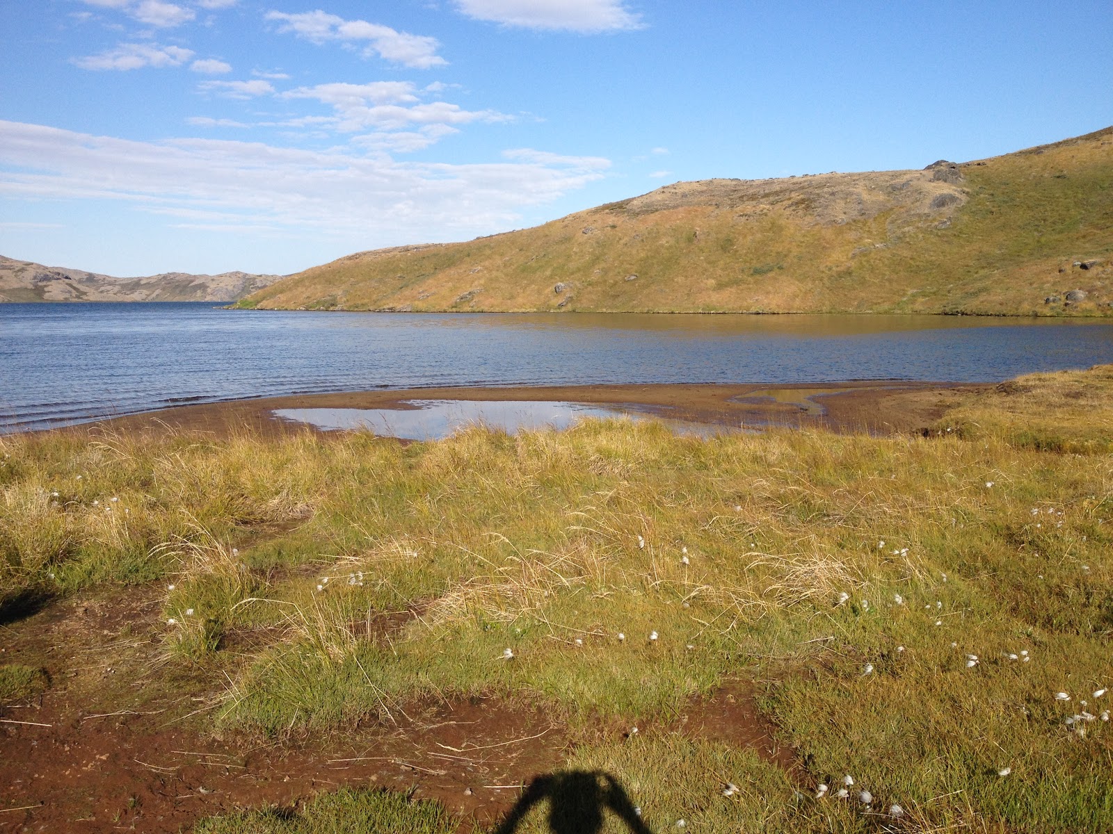 Lake Ferguson Tasersuatsiaq (2026) – Best of TikTok, Instagram & Reddit ...