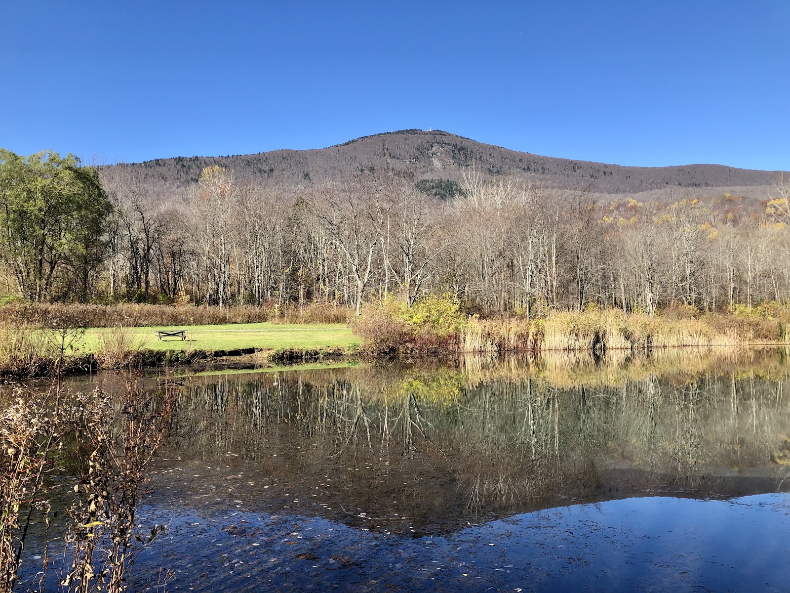 Greylock Glen (2026) – Best of TikTok, Instagram & Reddit Travel Guide