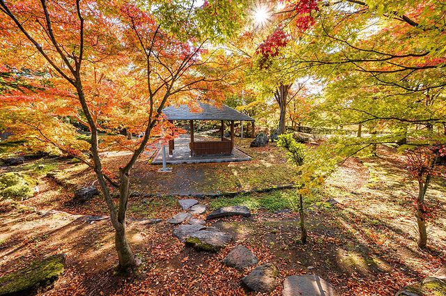 Saruka Park (2025) – Best of TikTok, Instagram & Reddit Travel Guide