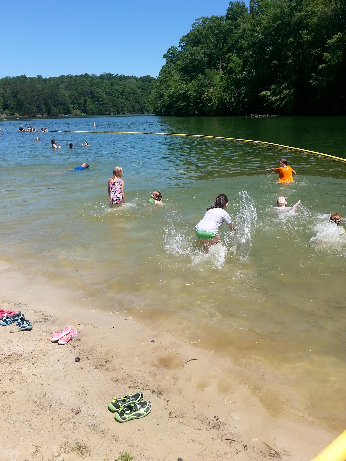 Clark Center Park (2026) – Best of TikTok, Instagram & Reddit Travel Guide
