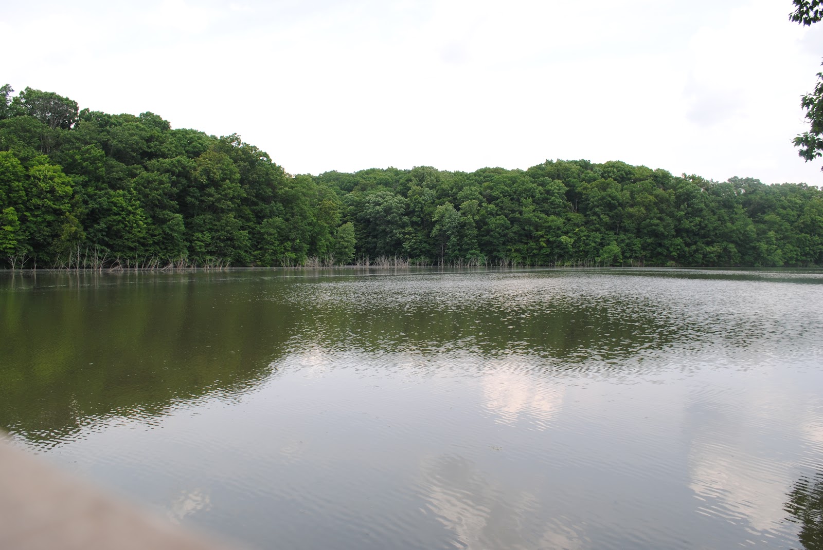Speedwell Forge Lake (2025) – Best of TikTok, Instagram & Reddit Travel ...