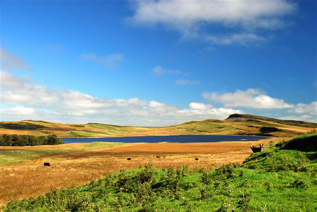 Broomlee Lough (2026) – Best of TikTok, Instagram & Reddit Travel Guide
