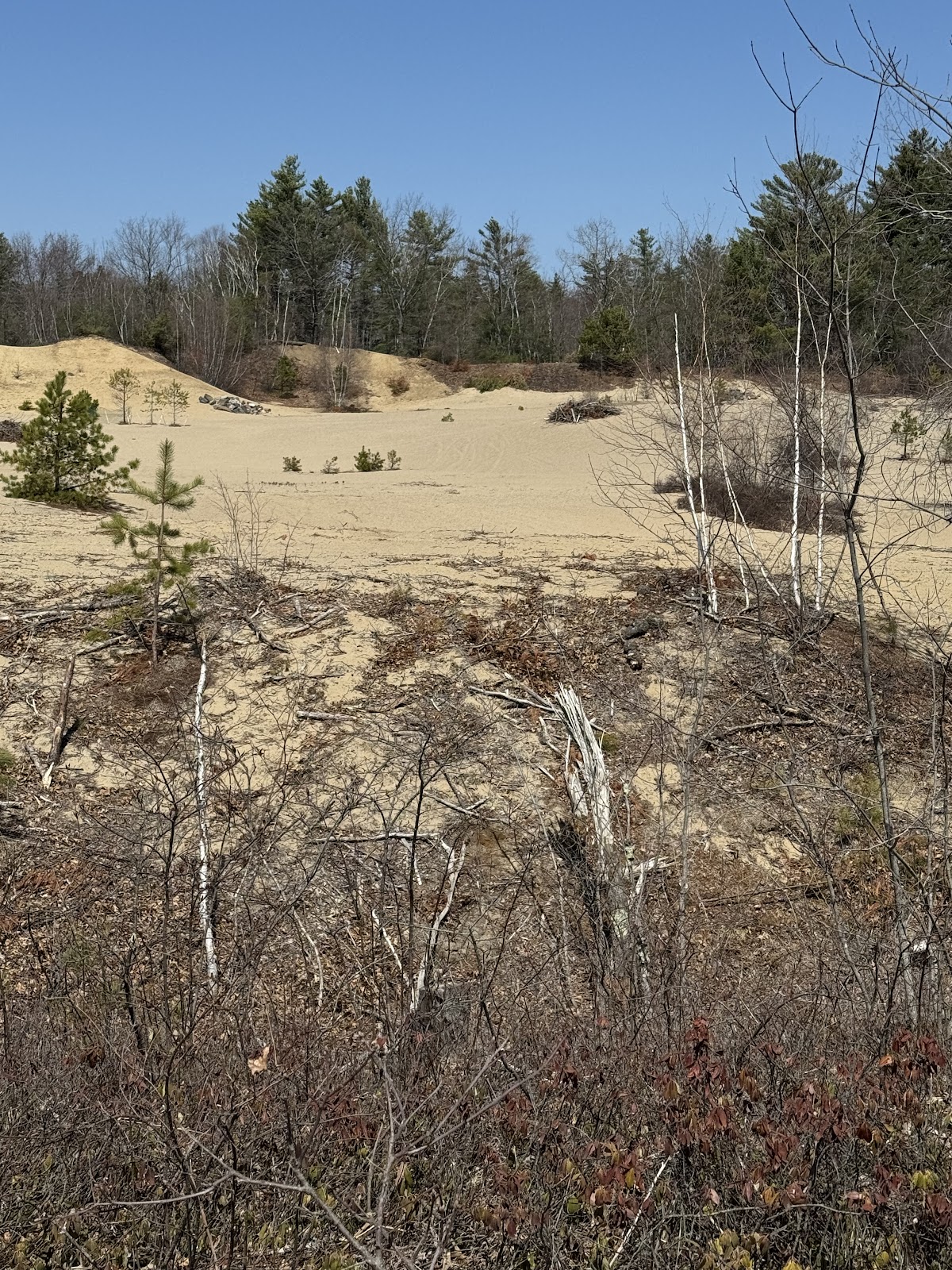 Wells Barrens Preserve (2026) – Best of TikTok, Instagram & Reddit ...