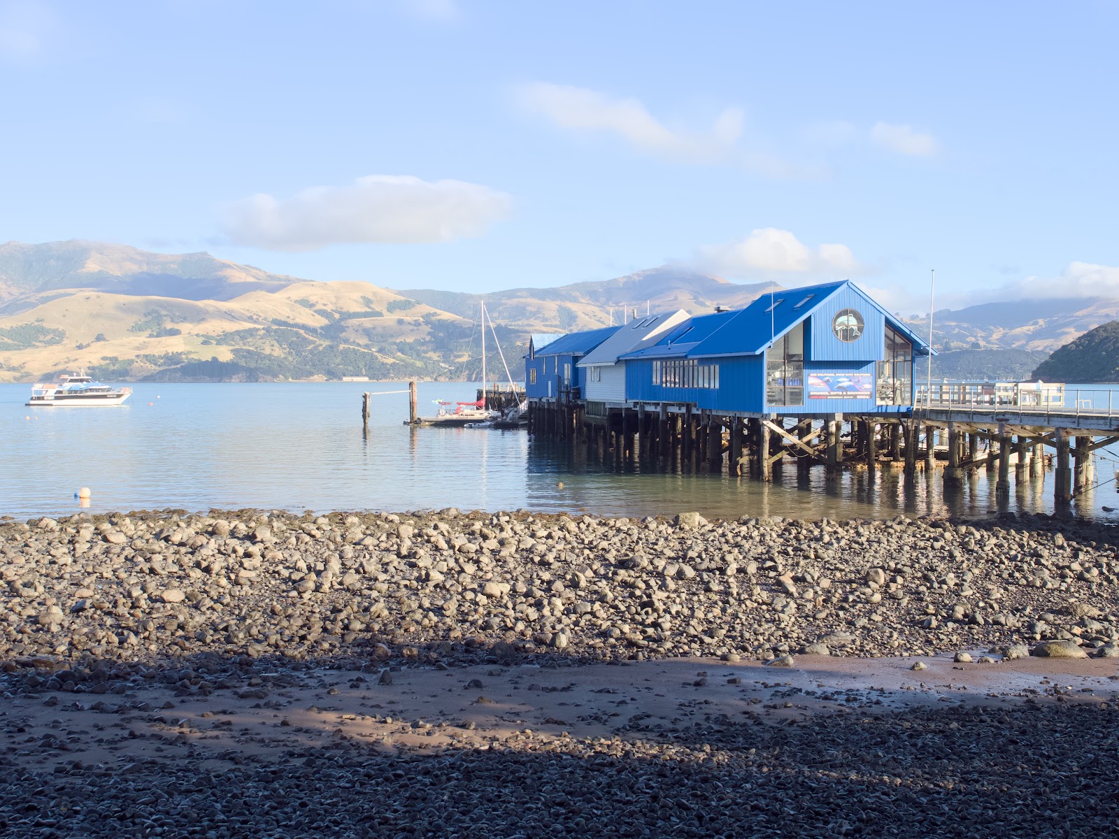 Akaroa Main Wharf (2025) – Best of TikTok, Instagram & Reddit Travel Guide