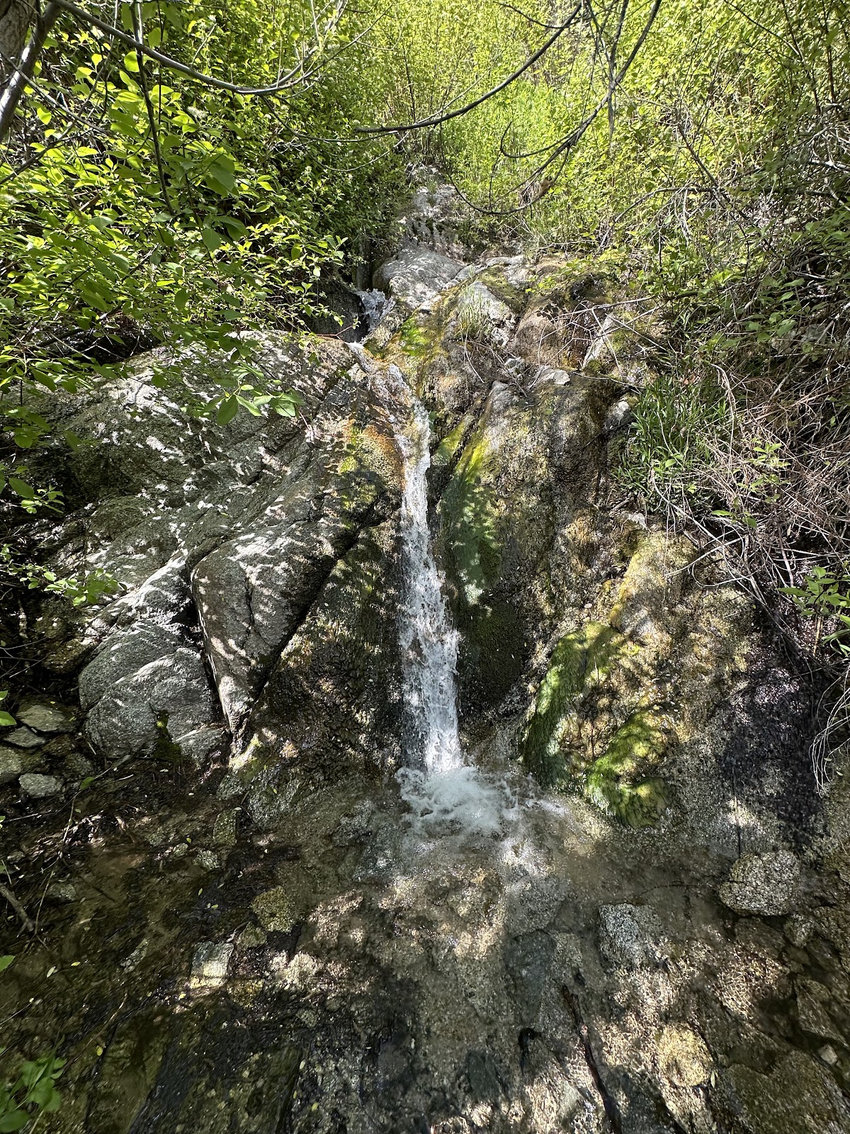 Ghost Falls (2025) – Best of TikTok, Instagram & Reddit Travel Guide