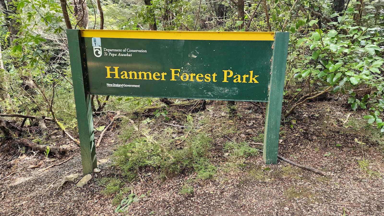 Hanmer Forest Park (2025) – Best of TikTok, Instagram & Reddit Travel Guide