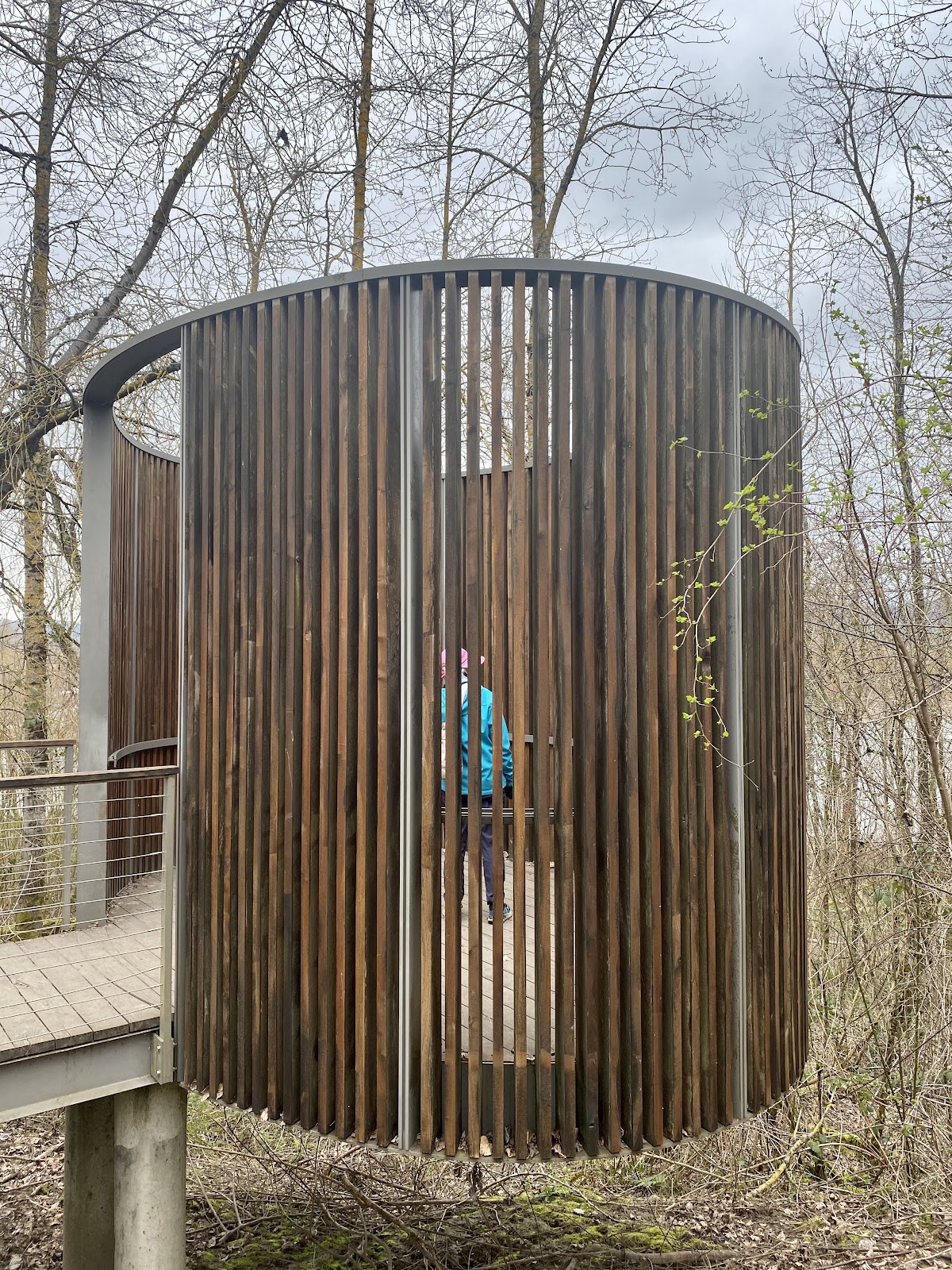 Sandy River Delta Bird Blind Confluence Project (2025) – Best of TikTok ...
