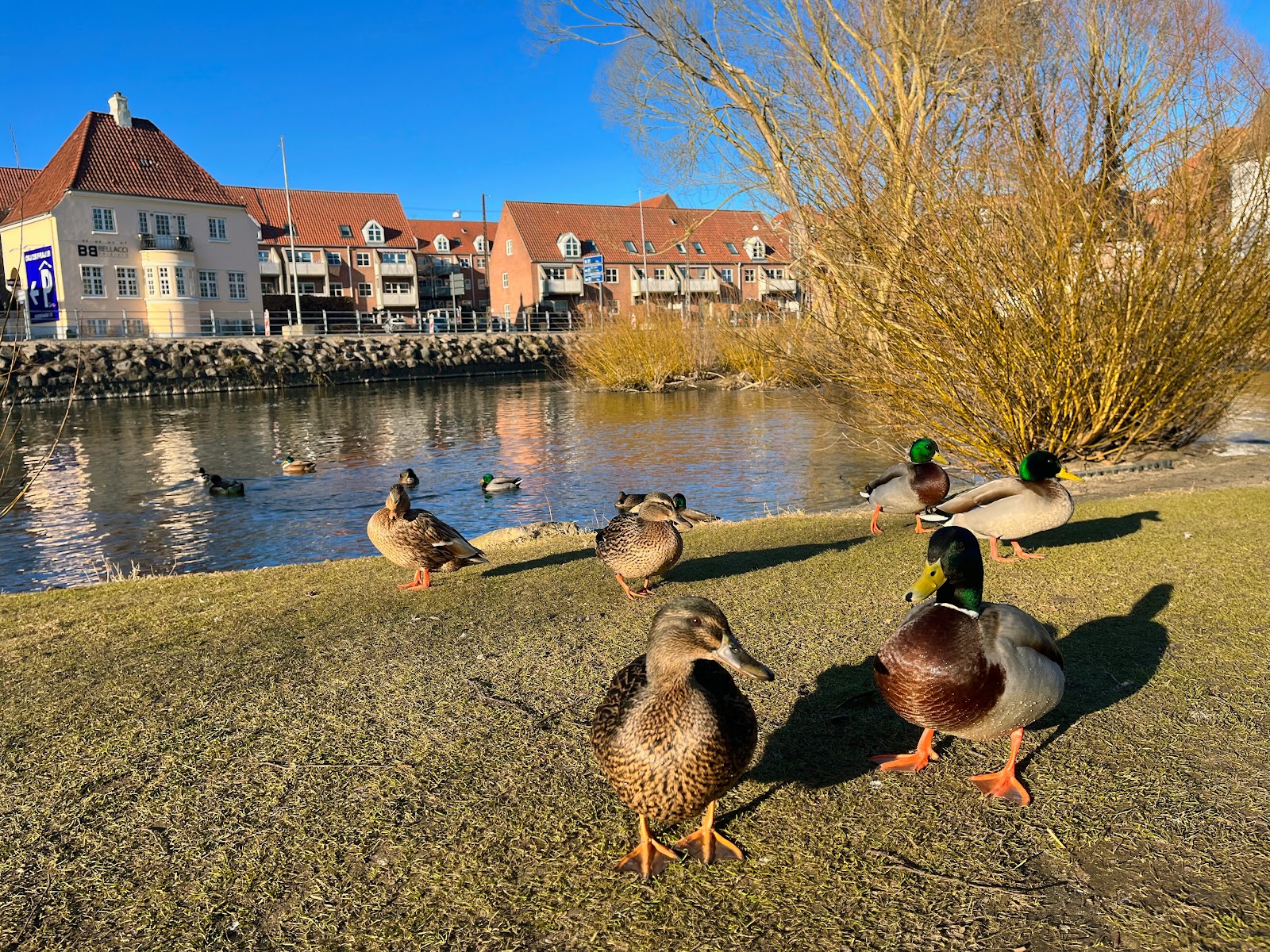 Munke Mose Park Odense (2026) – Best of TikTok, Instagram & Reddit ...