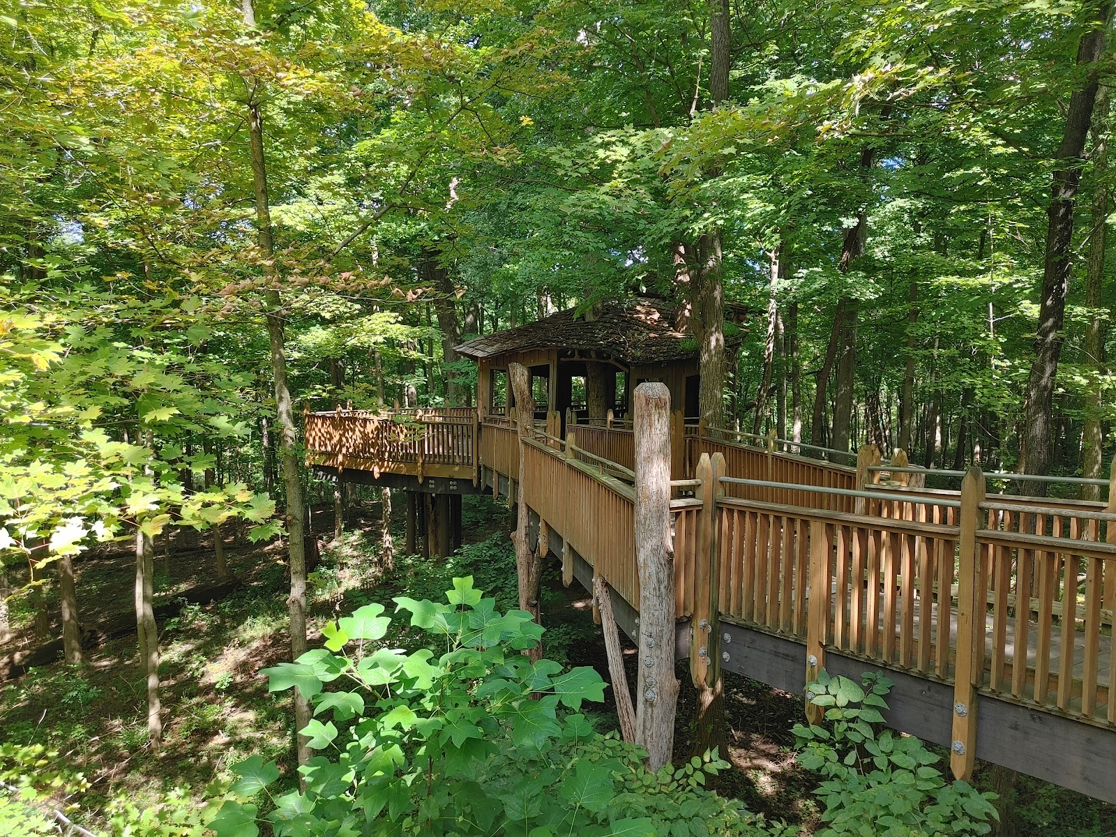Mount Airy Forest Cincinnati (2026) – Best of TikTok, Instagram ...