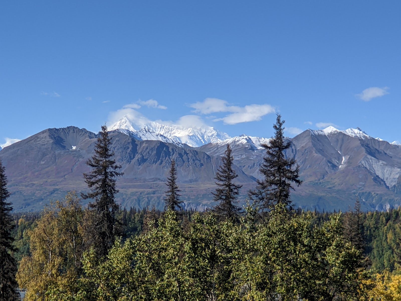 Denali Viewpoint North (2025) – Best of TikTok, Instagram & Reddit ...