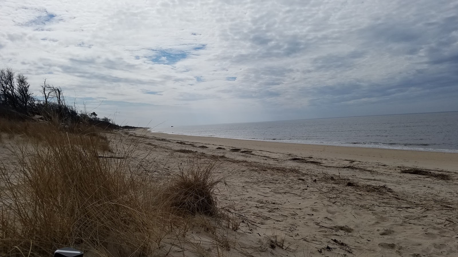 Higbee Beach Wildlife Management Area (2026) – Best of TikTok ...