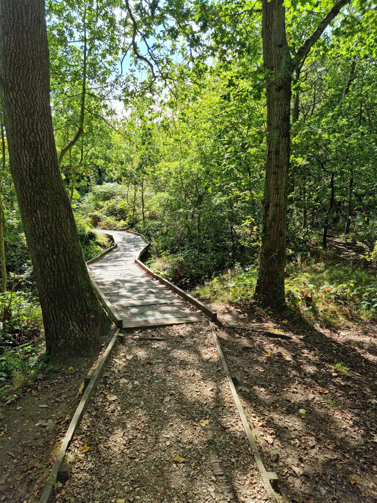 Warsash Common (2026) – Best of TikTok, Instagram & Reddit Travel Guide