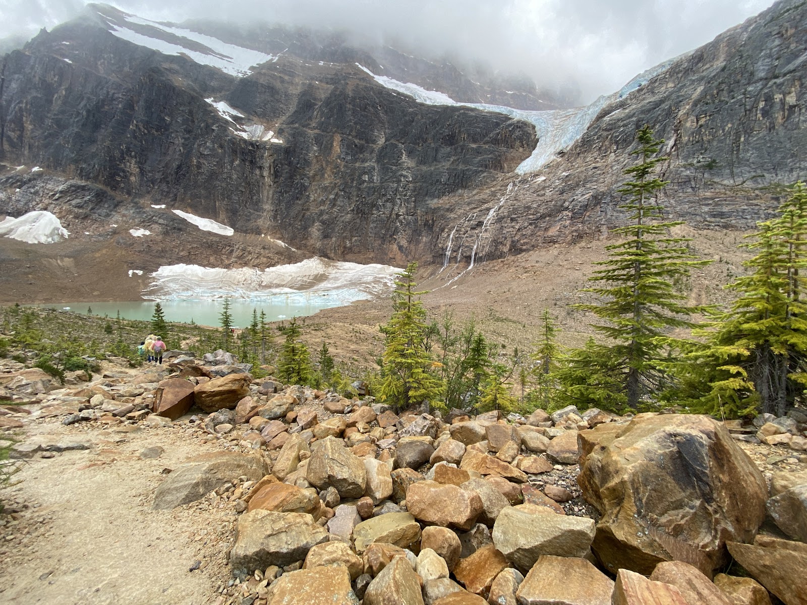 Cavell Meadows Trail (2026) – Best of TikTok, Instagram & Reddit Travel ...