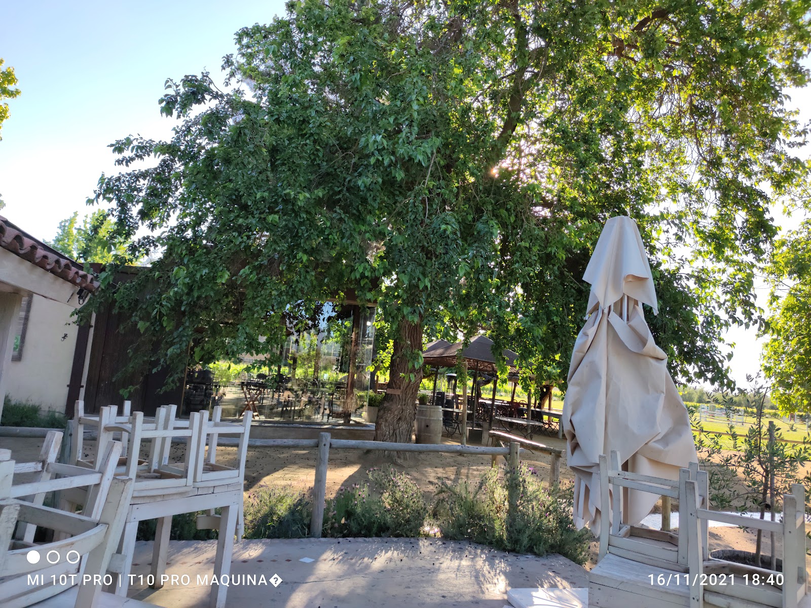 Santa Cruz Colchagua (2025) – Best of TikTok, Instagram & Reddit Travel ...