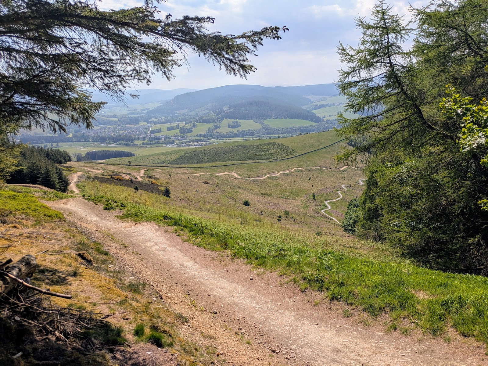 Glentress Forest 7stanes (2026) – Best of TikTok, Instagram & Reddit ...