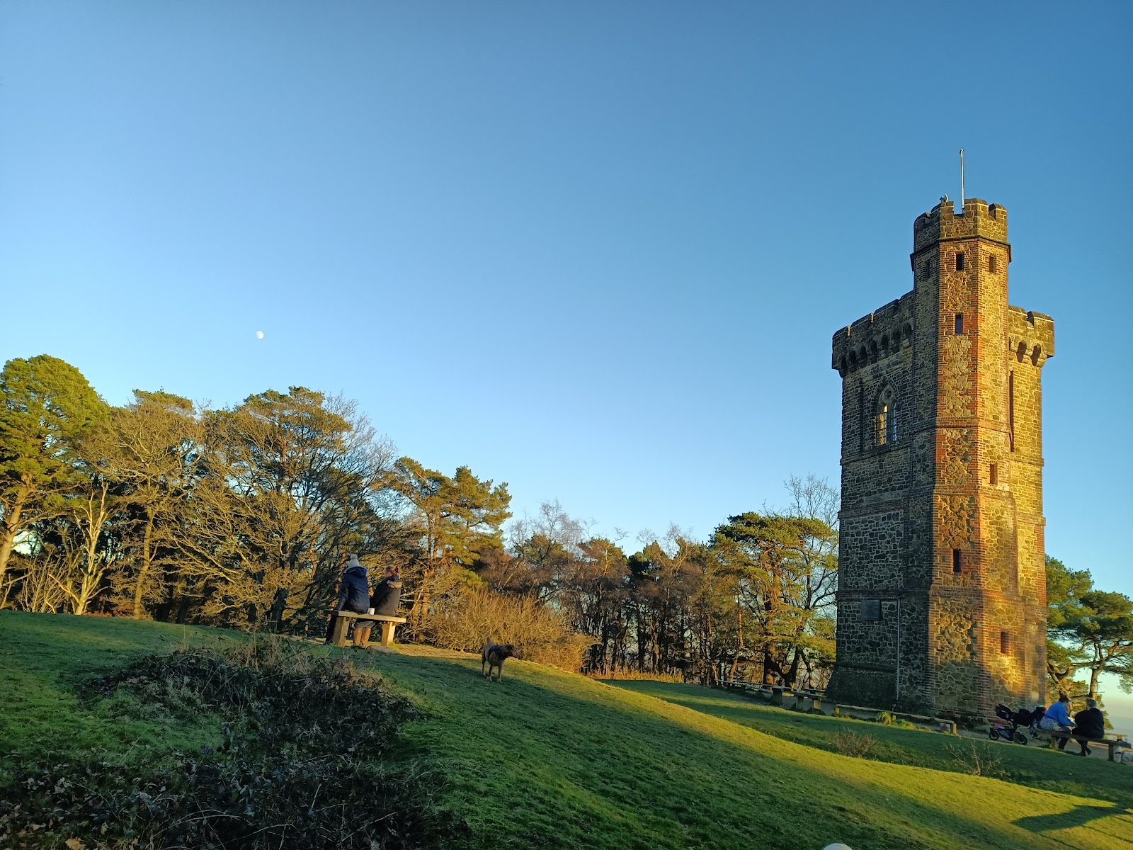 Leith Hill Tower (2026) – Best of TikTok, Instagram & Reddit Travel Guide