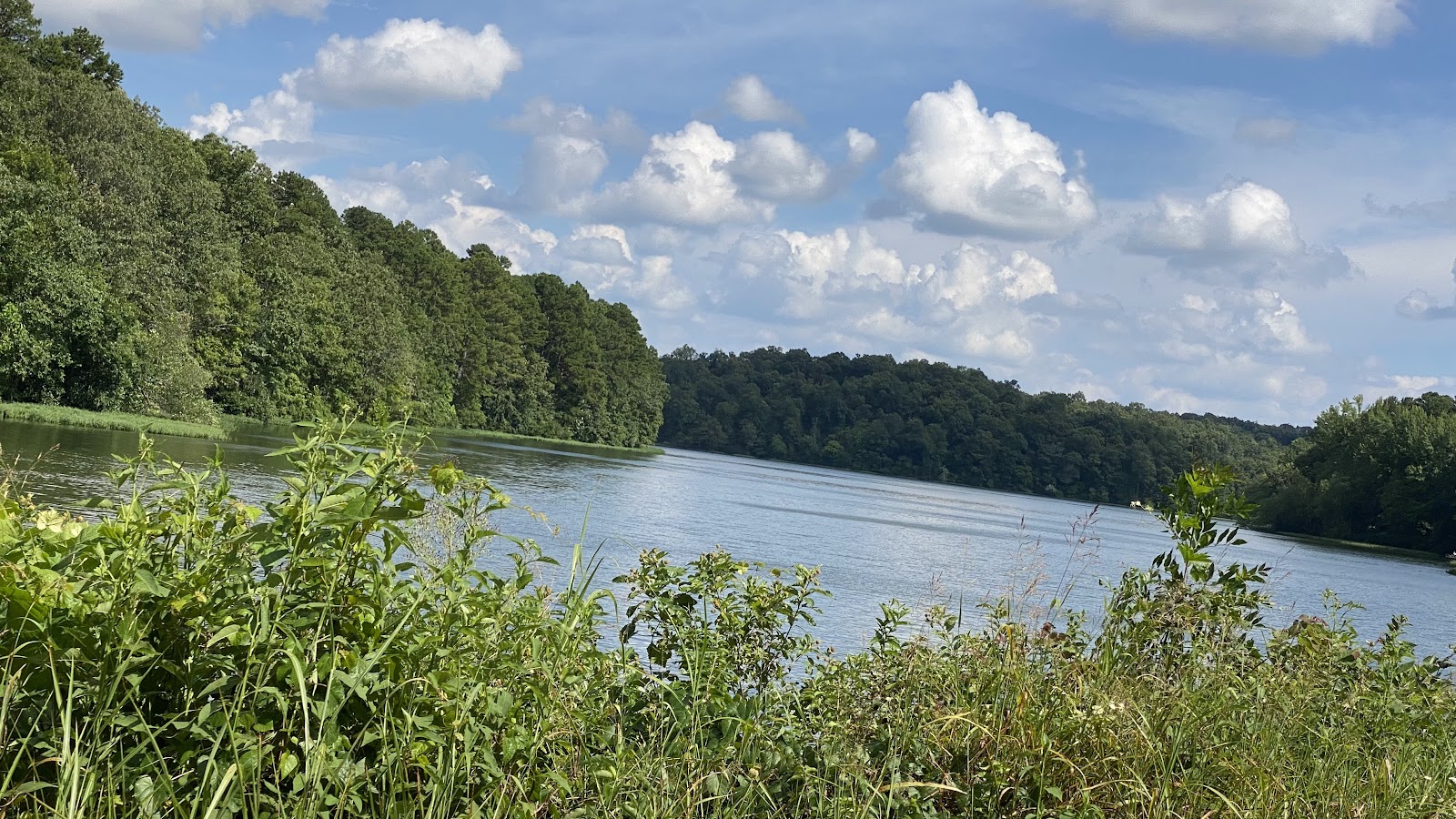 Lake Wedington Arkansas (2025) – Best of TikTok, Instagram & Reddit ...