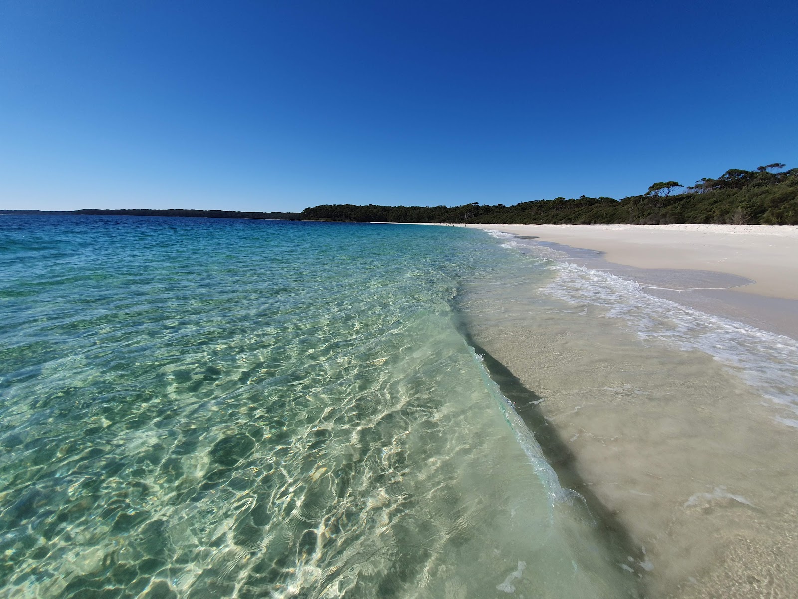 Iluka Beach NSW (2026) – Best of TikTok, Instagram & Reddit Travel Guide