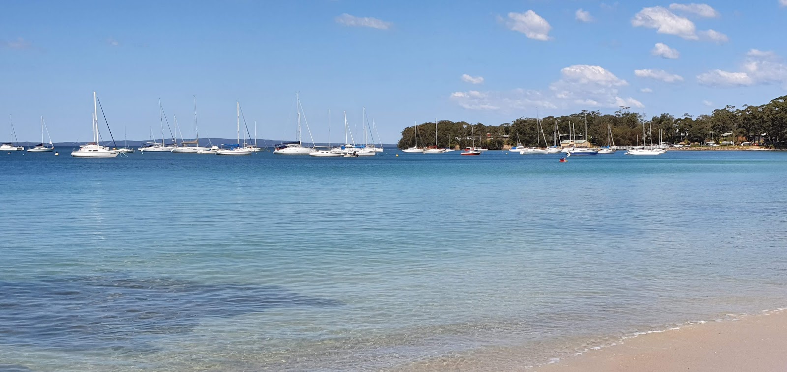 Callala Bay (2026) – Best of TikTok, Instagram & Reddit Travel Guide