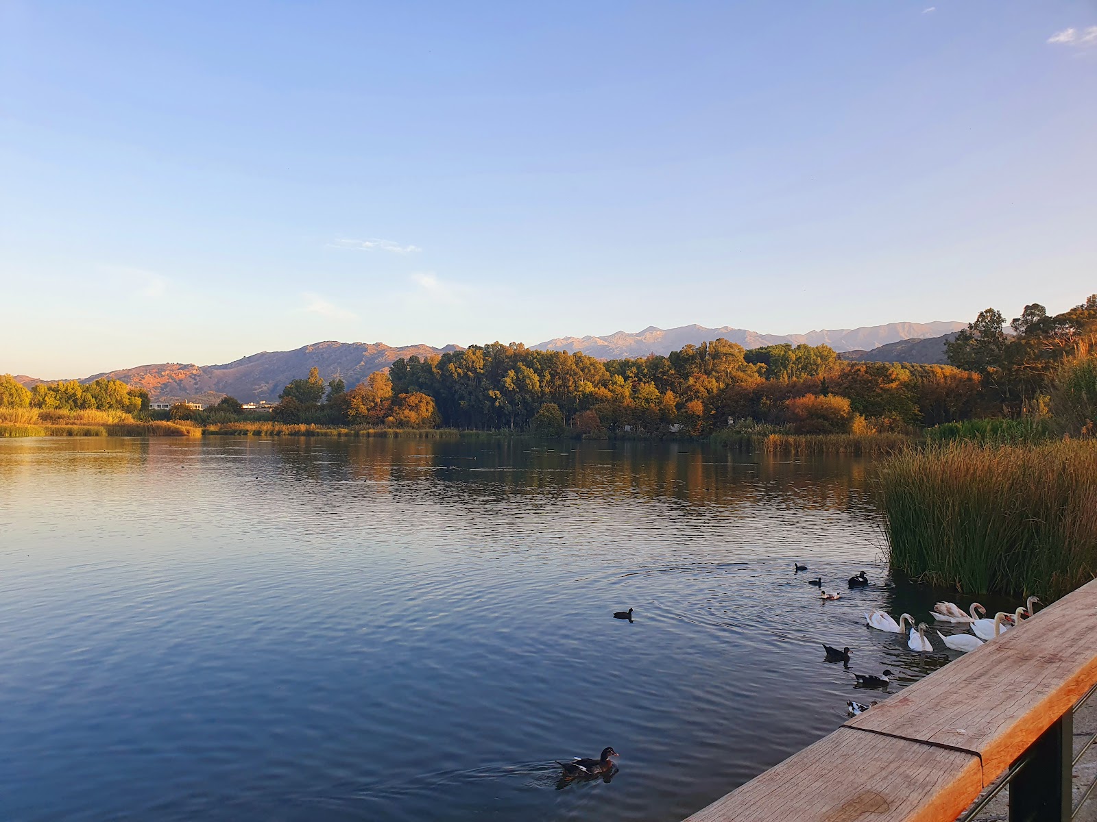 Lake Agia (2025) – Best of TikTok, Instagram & Reddit Travel Guide